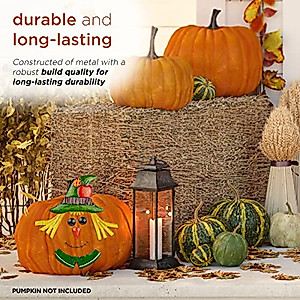 Alpine Corporation LAZ156A Alpine Seasonal Kit Harvest Pumpkin Decor, 10 x 0.2 x 8, Multi
