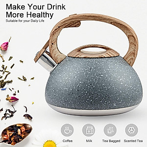 Whistling Tea Kettle Stainless Steel Teapot, Teakettle for Stovetop Induction Stove Top, Fast Boiling Heat Water Tea Pot 2.2 Quart(Gray)