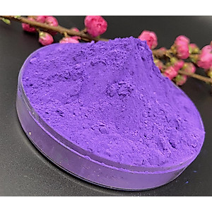 GOODTAKE Purple Iron Oxide, Concrete Pigments for Artistic and Decorative Painting, Cement Dye for Concrete, Clay, Lime, Tile, Mortar, Grout, Plaster, Masonry, Paint (Purple, 20 oz)