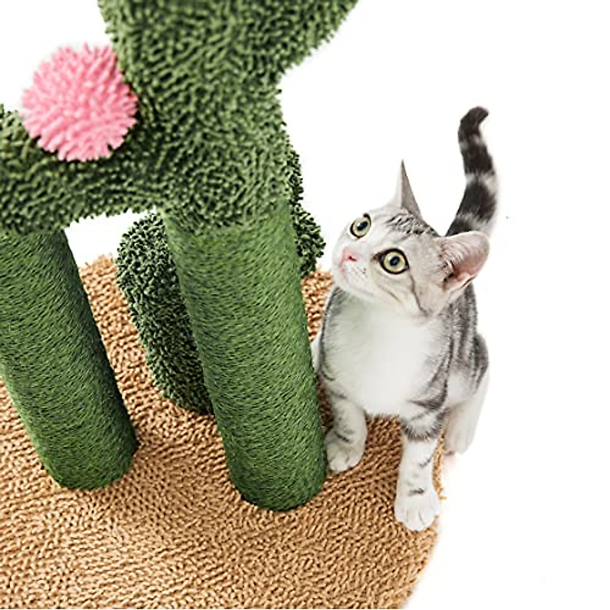 Pesofer Cactus Cat Scratching Post Cat Scratcher with 3 Scratching Poles, Flower Décor and Dangling Ball for Kitten, Adult Cats Large
