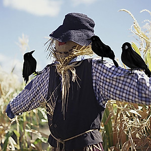 Pseutio 6 Pack Halloween Crows and Ravens Decorations Halloween Feathered Crows Realistic Looking Raven for Halloween Prop Decor