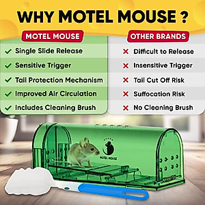 Humane Mouse Traps Indoor for Home Mice Traps for House Indoor No Kill Live Catch Mouse Trap Smart Traps That Work Animal Rodent Catch and Release Double Mousetraps Easy Set Reusable Hotel - 2 Pack