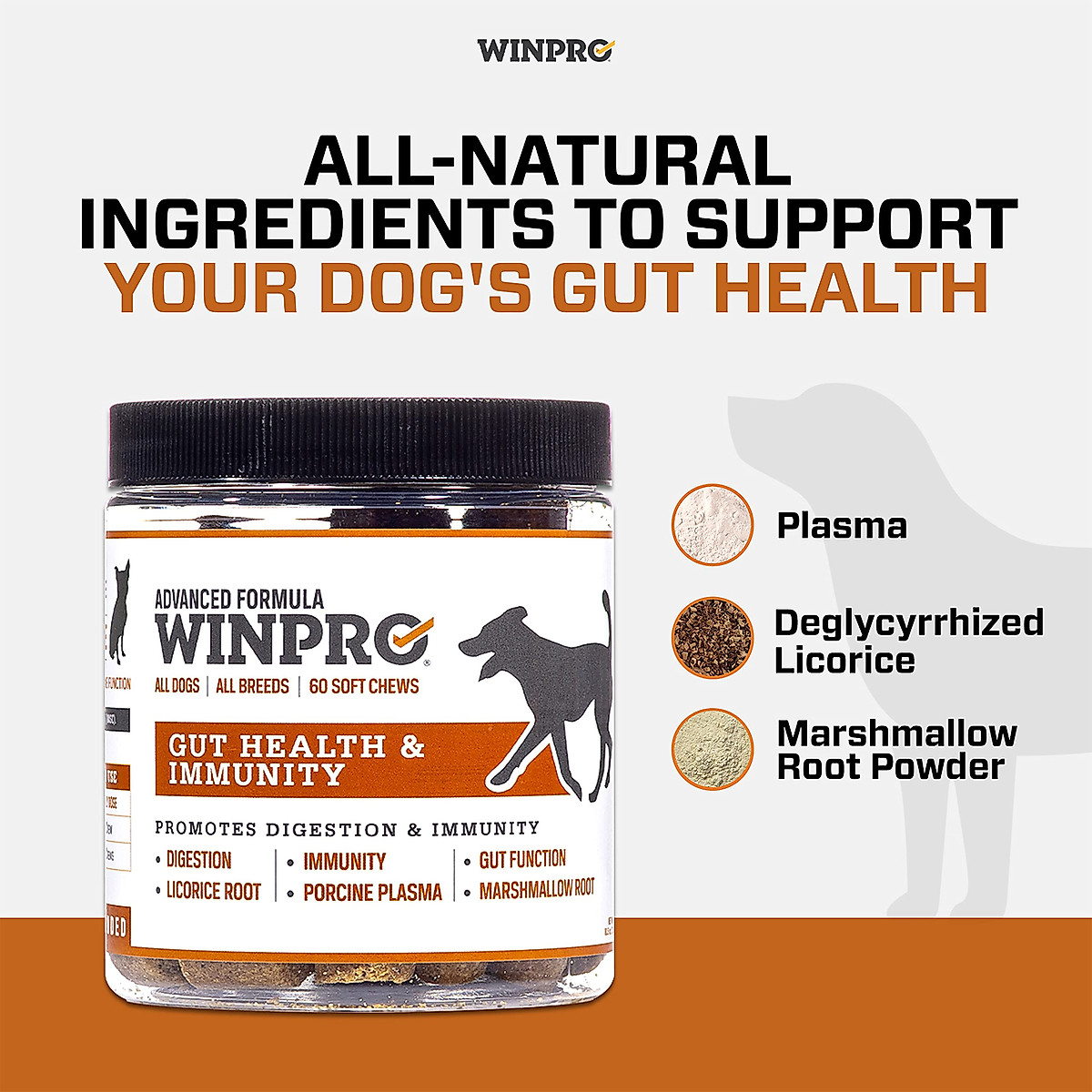 WINPRO | Dog Gut Health Supplement, Plasma-Powered Chews for Digestive Health, Fast Acting Immune Support in Dogs of All Breeds and Sizes, 60 Count, Made in USA