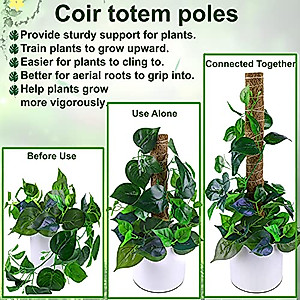 Moss Pole 47.5 Inch, 4 Pack Moss Poles for Climbing Plants, Monstera Coir Totem Pole, 16 Inch Moss Sticks for Indoor Plant Support, Train Pothos Creepers Potted Plants Grow Upwards, with Garden Ties