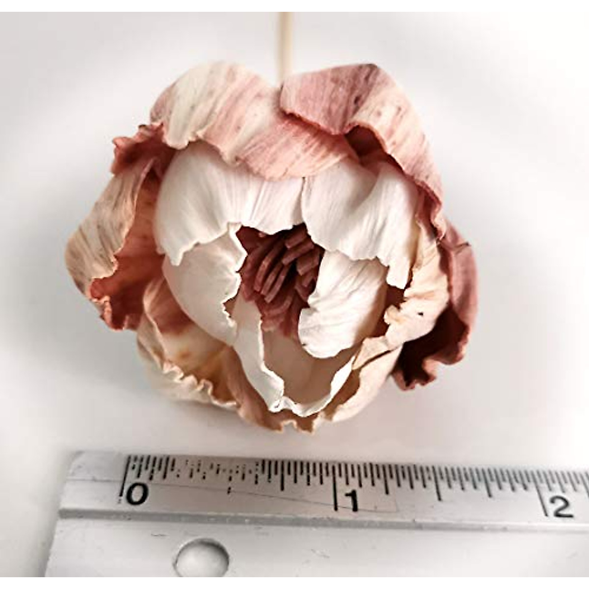 10 Rare Natural Pink Peony 1.5" Sola Flower Reed Diffuser for Home Fragrance Oil by Plawanature.