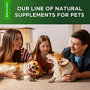 Dog Antibiotics | Antibiotics for Dogs & Cats | Cat Antibiotic | Forte Health | Natural Antibiotics for Dogs and Cats | Antibiotics for Cats | Chicken Flavor | 2 Oz