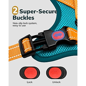 MIDOG Dog Harness, No-Pull Pet Harness and Leash Set for Small Medium Large Dogs Walking, No Choke Front Clip Dog Reflective Harness, Adjustable Soft Padded Pet Vest with Easy Control Handle (Blue,XL)