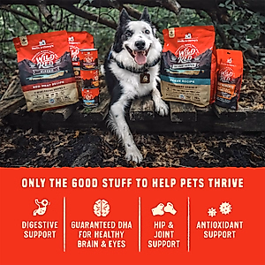 Stella & Chewy's Wild Red Dry Dog Food Raw Coated High Protein Grain & Legume Free Red Meat Recipe, 3.5 lb. Bag