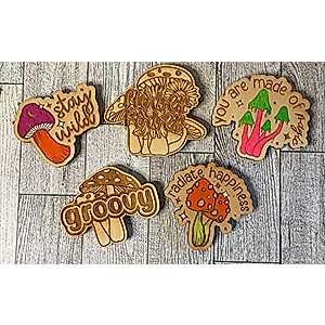 Mushroom Magnet Set of 5, Retro Magnet Set, Refridgerator Magnet Set