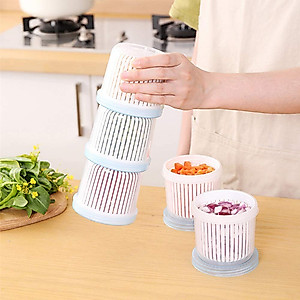 Vegetable Storage Box, Refrigerator Food Fresh Box with Drain Basket, Double Layer Vegetables Sealed Keeper for Chopped Green Onion, Ginger, Garlic, Vegetables and Fruits (2PCS)