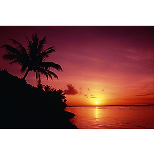 Posterazzi Guam Pago Bay Sunrise And Palm Tree Bright Pink Sky Poster Print, (19 x 12)