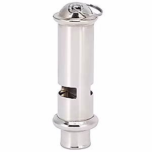 LZKW Pigeons Whistle, Silver Training Whistle, with Lanyard Mini Portable Anti‑Corrosion for Pigeons for Young Pigeons for Bird for Homing Pigeon