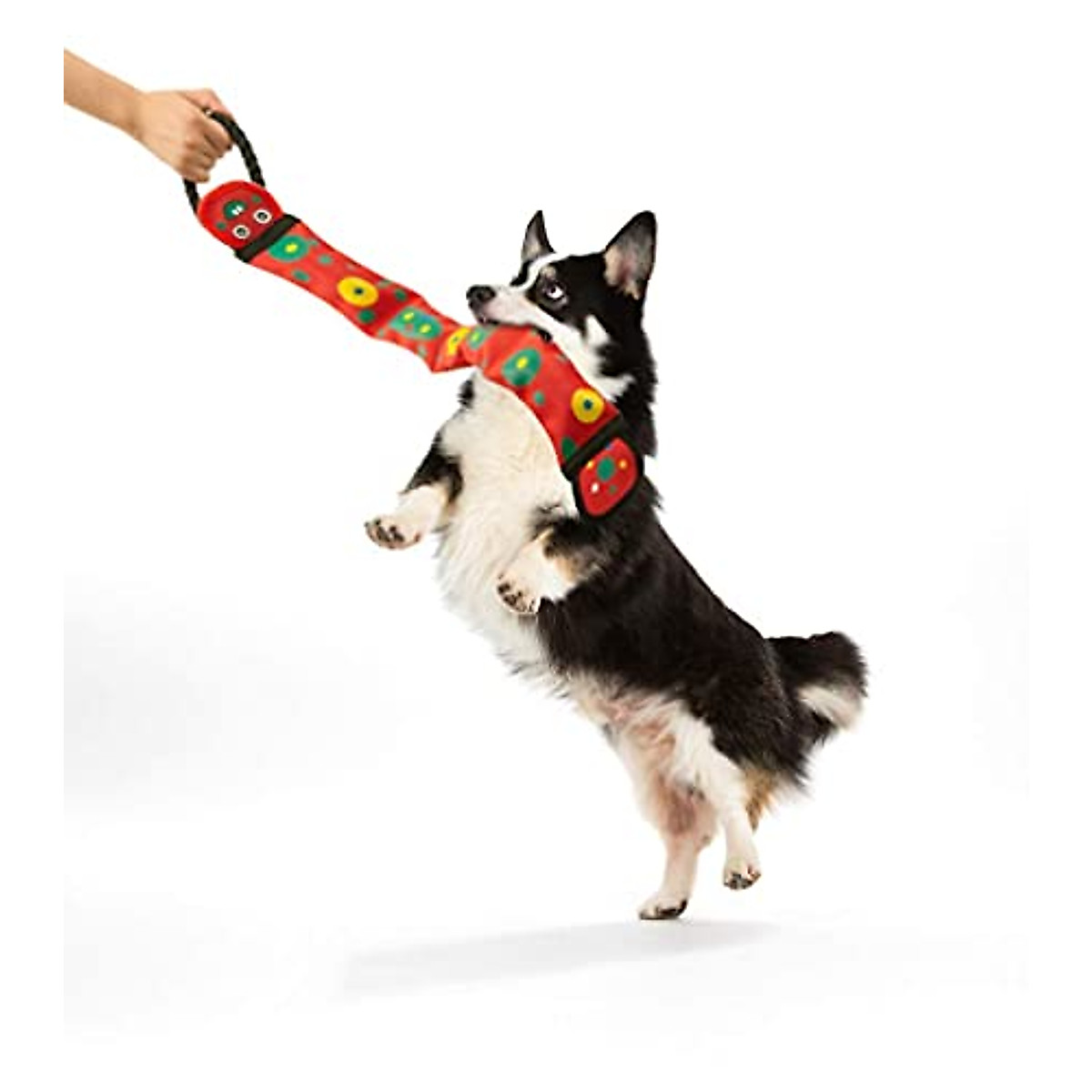 purrrfect life Fire Hose Interactive Squeaking Water Dog Toy, Dog Toy for Tug O War, Durable Dog Chew Toy with Squeakers, No Stuffing Dog Toy with Ropes for Small, Medium & Large Dogs