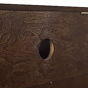 Crosley Furniture Asher Media Console and Record Player Stand with Storage for Vinyl Records, Dark Brown