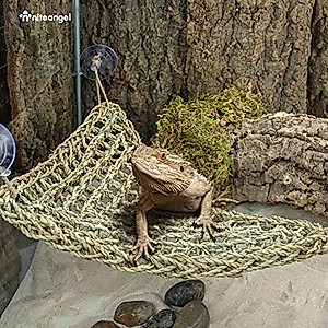 Niteangel Bearded Dragon Hammock Reptile Lounger for Chameleon, Lizards, Gecko, Snakes, Lguana Reptiles, Geckos (Triangle 17'' x 12.5'')