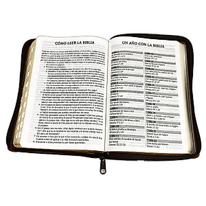 Biblia Letra Grande Manual de 12 puntos con Cierre y Concordancia Amplia Reina Valera 1960 marron con indice