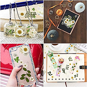 Nuanchu 81 Pcs White Dried Flowers Dried Pressed Flowers Leaves Natural Pressed Flowers White Pressed Flowers Larkspur Gypsophila for Resin Jewelry Scrapbooking Art Floral Decorations (White)