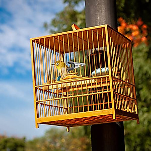 20Pcs Bird Cage Clips Safety Clip Door Lock Parrot Cage Safety Clip Pet Cages Accessories Parakeet Toys
