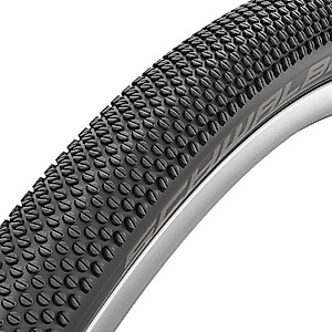 Schwalbe G-One Allround Tire - 700 x 38, Tubeless, Folding, Black, Evolution Line, MicroSkin