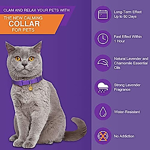 4 Pcs Calming Cats Collar Adjustable Cat Calm Collar Lavender Scent Relaxing Cat Collar with 2 Pendant for Puppies Cats Reduce Stress Aggression Anxious, up to 15 Inches (Purple, Gold)
