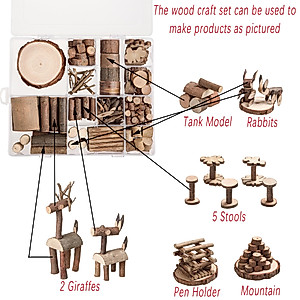 LAZACA Wood Craft Kits DIY for Kids Ages 5-20 Wooden Art Paint Bulk Crafts Garden Playset Loose Parts Play Materials L/21X17X4cm