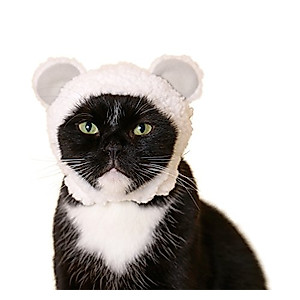 Kitan Club Cat Cap - Pet Hat Blind Box Includes 1 of 6 Cute Styles - Soft, Comfortable - Authentic Japanese Kawaii Design - Animal-Safe Materials, Premium Quality (Bear)