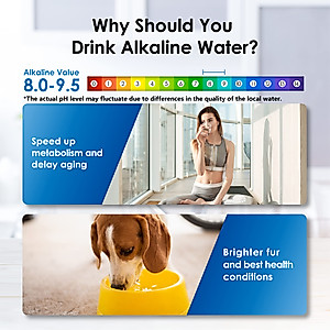 Waterdrop Alkaline Water Filter Dispenser, Large 40-Cup, Up to PH 9.5, Healthy, Clean & Toxin-Free Mineralized Alkaline Water, 100-Gallon, BPA Free, Black (1 Filter Included)