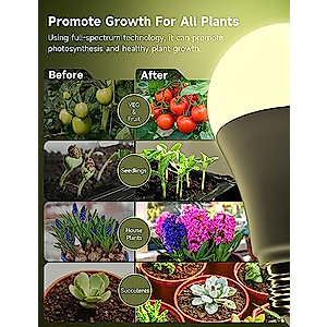 UNILAMPRO Grow Light Bulbs, A19 Grow Light Bulb, Full Spectrum Light Bulb, Plant Light Bulbs E26 Base, 9W Plant Grow Light Bulbs 100W Equivalent, Grow Light for Indoor Plants, Seeds, Flowers, 3 Pack
