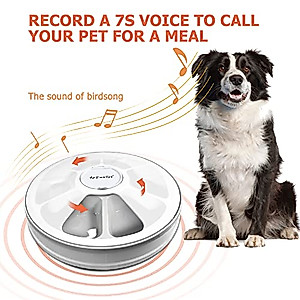 Pets Automatic Timed Pet Feeder,4pawslife 6 Meal Food Dispenser for Dogs, Cats & Small Animals Auto Feeder with Music
