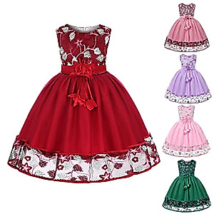 Dinosaur Toddler Dress Kids Girls Patterns Sleeveless Party Hoilday Weddings Elegant Lace Tulle Clothes (Red, 2-3 Years)