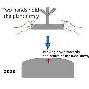YBKJSTR LED Levitating Air Bonsai Pot Magnetic Levitation Suspension Flower Floating Pot Potted Plant Levitating Plant Pot for Display Decoration(Plant Pot Size, Height: 35mm, Diameter: 80mm)
