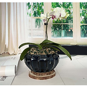 Fowargif 8inch Modern Large Shinny Black Ceramic Bonsai Pot,Cactus pots,Ceramic Plant Pot for Orchids,Decorative Orchid pots with Hole (Midnight Black)