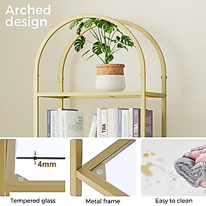 Homhedy 6-Tier Bookshelf Arched Display Racks, Metal Bookcase, Tempered Glass Shelves, Slim Storage Rack Shelf for Home Office, Living Room, Bedroom, Bathroom, Modern Style, Golden