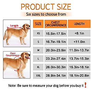 OShuKang Dog Back Brace for Dogs, Hip Brace Support for Pet, Back Brace for Dogs with IVDD, Surgery Recovery and Rehabilitation, Dog Back Disease Rrevention(S)