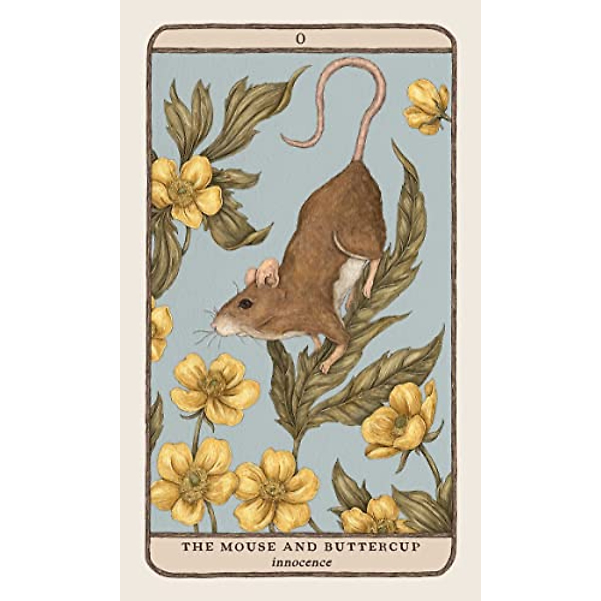 Woodland Wardens: A 52-Card Oracle Deck & Guidebook