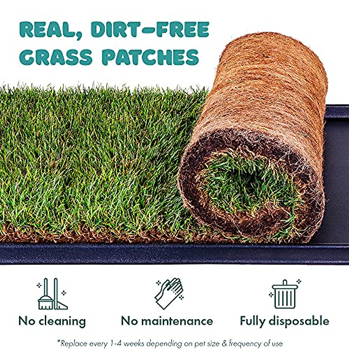 Fresh Patch Standard - Real Grass Pee and Potty Training Pad for Dogs Under 15 Pounds - Indoor and Outdoor Use - 16 Inches x 24 Inches