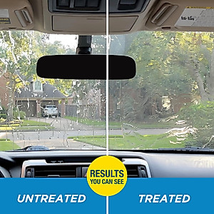 Rain-X White RX11806D Washer Fluid Additive-16.9 fl. oz, 500. ml