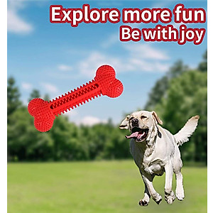 Teething Buddy: Dental Dog Chew Bone Toy for Puppies. (Green)