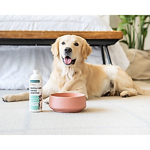 Wellnergy Pets Dental Care Water Additive for Dogs & Cats – No Brush Formula, Oral Hygiene & Fresh Breath, Reduce Plaque and Tartar. 16 FL OZ