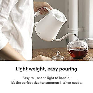 BALMUDA The Kettle | Electric Lightweight Gooseneck Kettle | Stainless Steel | 0.6L (20fl oz) Capacity | Neon Light Indicator | Perfect for Tea and Coffee | K02H-WH | White | US Version