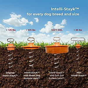 IntelliLeash Intelli-Stayk with Special Surface-Lock Technology to Prevent Pulling Out and Bending (4" Diameter)