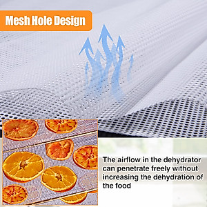 4 Silicone Dehydrator Mats with Edge + 6 Mesh Dehydrator Sheets Reusable Non-stick Fruit Dehydrator Mats Compatible with Cosori CP267-FD Silicone Tray Liner for Fruits Meat Vegetables(Pack of 10)