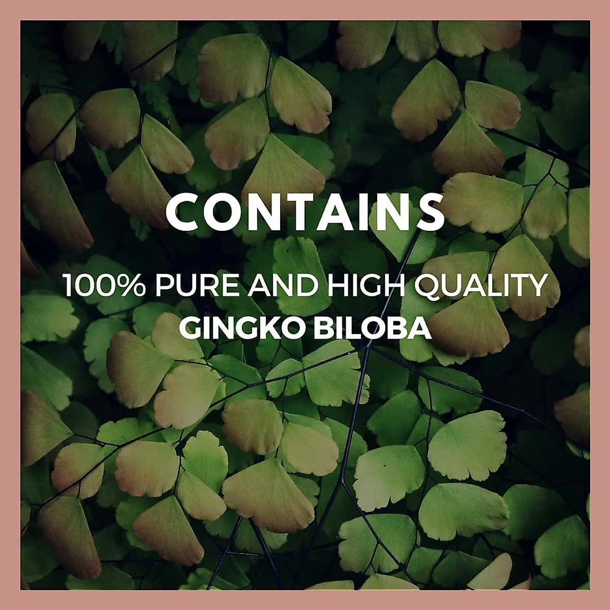 Remedy's nutrition Ginkgo Biloba | 1,000 mg, 60 Vegan Capsules Herbal Dietary Supplement | Two Month Supply | Non-GMO, Gluten Free, Dairy Free, No Fillers or Additives