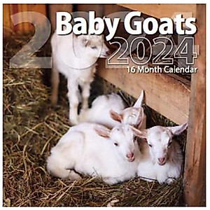 2024 Baby Goats Full Size Wall Calendar for Planning, Scheduling, and Organizing