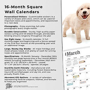 The Beauty of Golden Retriever Puppies | 2024 12 x 24 Inch Monthly Square Wall Calendar | Sticker Sheet | StarGifts | Animals Dog Breeds Puppy
