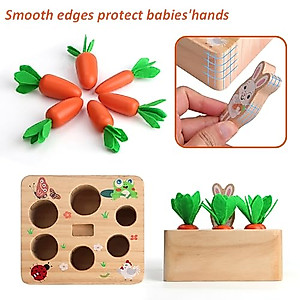 SKYFIELD Carrot Harvest Game Wooden Toy for Baby Boys and Girls 1 2 3 Year Old, Educational Shape Sorting Matching Puzzle Gift Toy with 7 Sizes Carrots.Great Montessori Toy for Toddlers 1-3