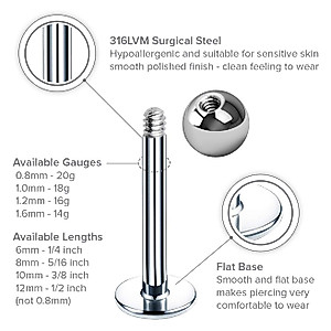 Evonix 7pc 16g 10mm Labret Studs Lip Ring Snake Spider Bite Forward Helix Monroe Dahlia Inner Conch Surgical Steel Rainbow 4mm Ball