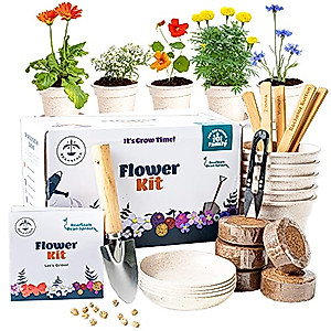 Flower Growing Kit by Beanstalk - 5 Types of Non-GMO Flower Seeds, Bachelor Button, Zinnia, Marigold, Virginia Stock, Baby's Breath - Best Birthday Garden Plant Gifts for Girls, Kids Age 5 6 7 8 9 10