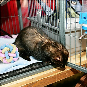 KUNBIUH 3Pcs Ferret Toys Ball Set - Colorful Bouncy Rubber Balls with Built-in Bell Ferret Cat Teeth Grinding Wiggle Ball Interactive Sound Toy Exercise Scratch Chew Toys for Indoor Small Animals