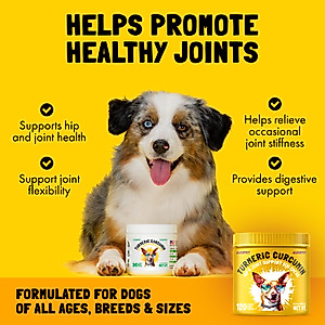 Turmeric Curcumin Hip & Joint Dogs Supplement Anti-Inflammatory Support 120 Chews and Probiotics for Dogs Natural Digestive Enzymes Prebiotics for Allergy 120 Chews